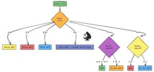 When to Split in Blackjack?